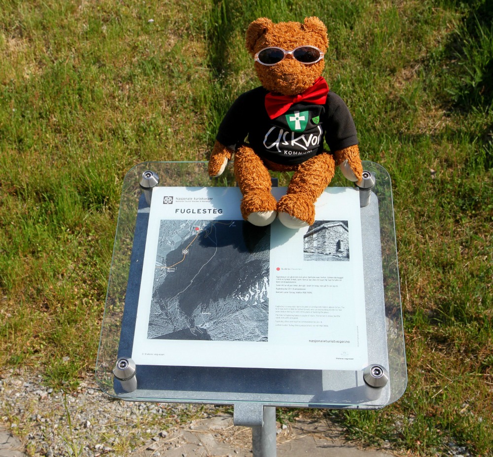 Fuglesteg 10.06.2016