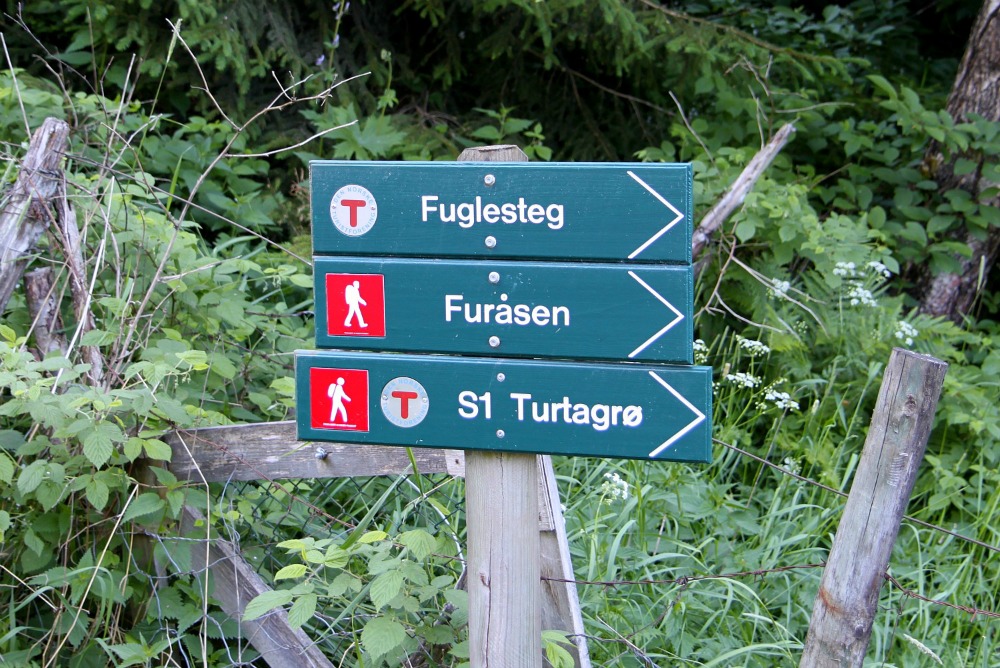 Fuglesteg 10.06.2016