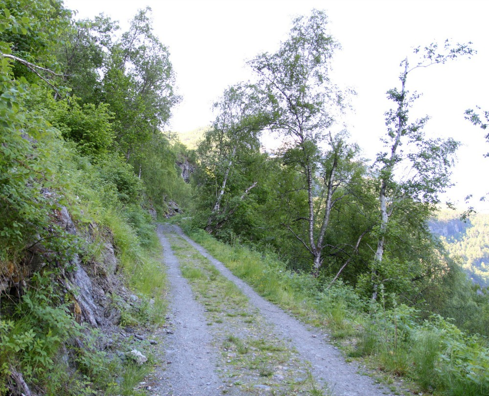 Fuglesteg 10.06.2016